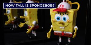 How Tall Is Spongebob? | WhyDo